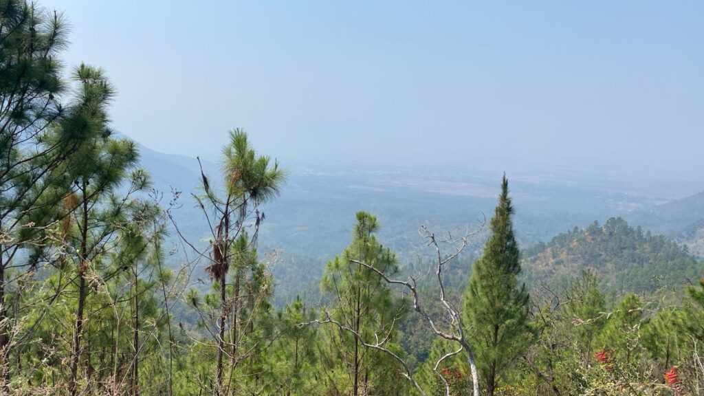 Pacura: Testigo de la Trágica Danza del Humo que Envuelve el Valle del ...