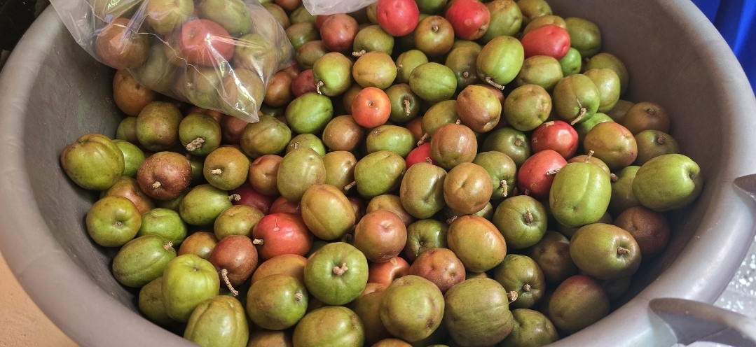 Mari Ponce: La vendedora ambulante de jocotas que lleva consuelo en ...